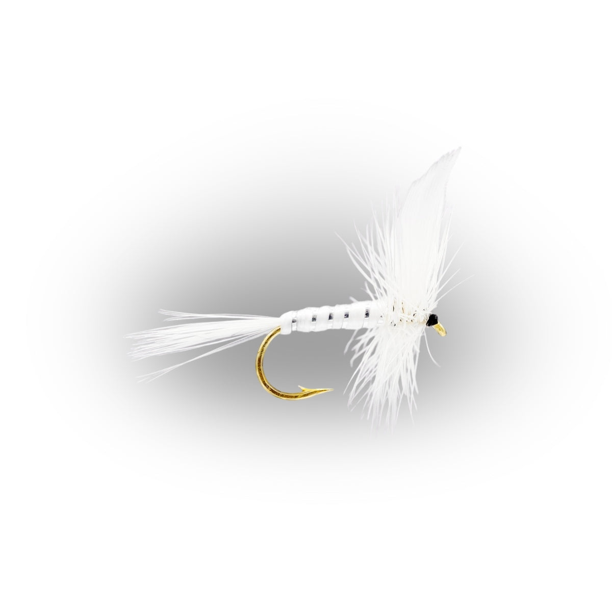 Neptune, mouche sèche White Miller – Boutique Nature chasse et pêche